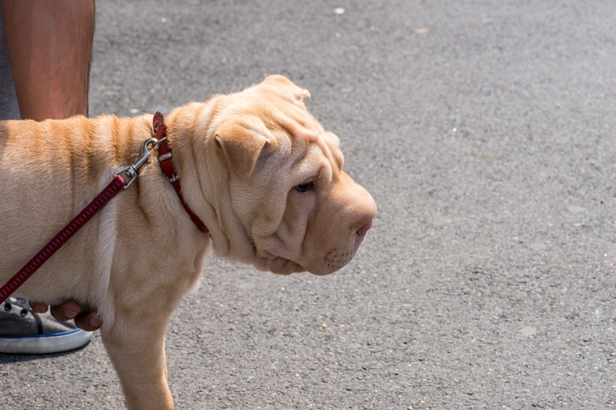 Cea mai simpatică chestie pe care ai văzut-o azi [fotografia zilei de ...