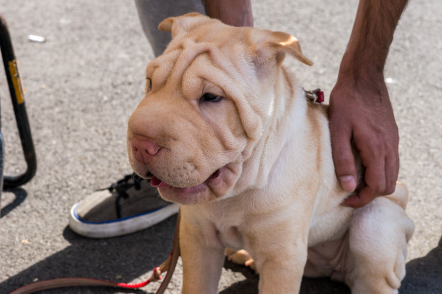 Cea mai simpatică chestie pe care ai văzut-o azi [fotografia zilei de ...